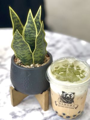 DABOBA - Updated November 2024 - 227 Photos & 137 Reviews - 16449 ...