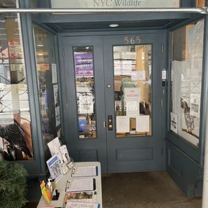 EMPIRE PARROTS - Updated June 2024 - 26 Photos - 239 Ocean Ave, New ...