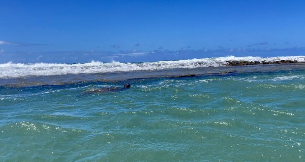 BABY BEACH - Updated June 2025 - 124 Photos & 40 Reviews - 207 Kealakai ...