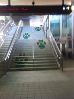 TREN URBANO - ESTACIÓN CUPEY - Calle Bori S/N, San Juan, Puerto Rico ...