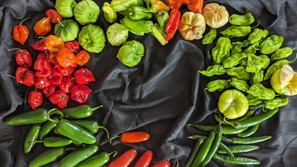 TARA’S FARM - Updated July 2025 - Ardmore, Tennessee - Fruits & Veggies ...