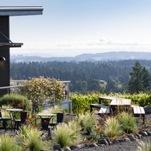 CHEHALEM WINERY - Updated June 2025 - 29 Photos - 31190 NE Veritas Ln ...