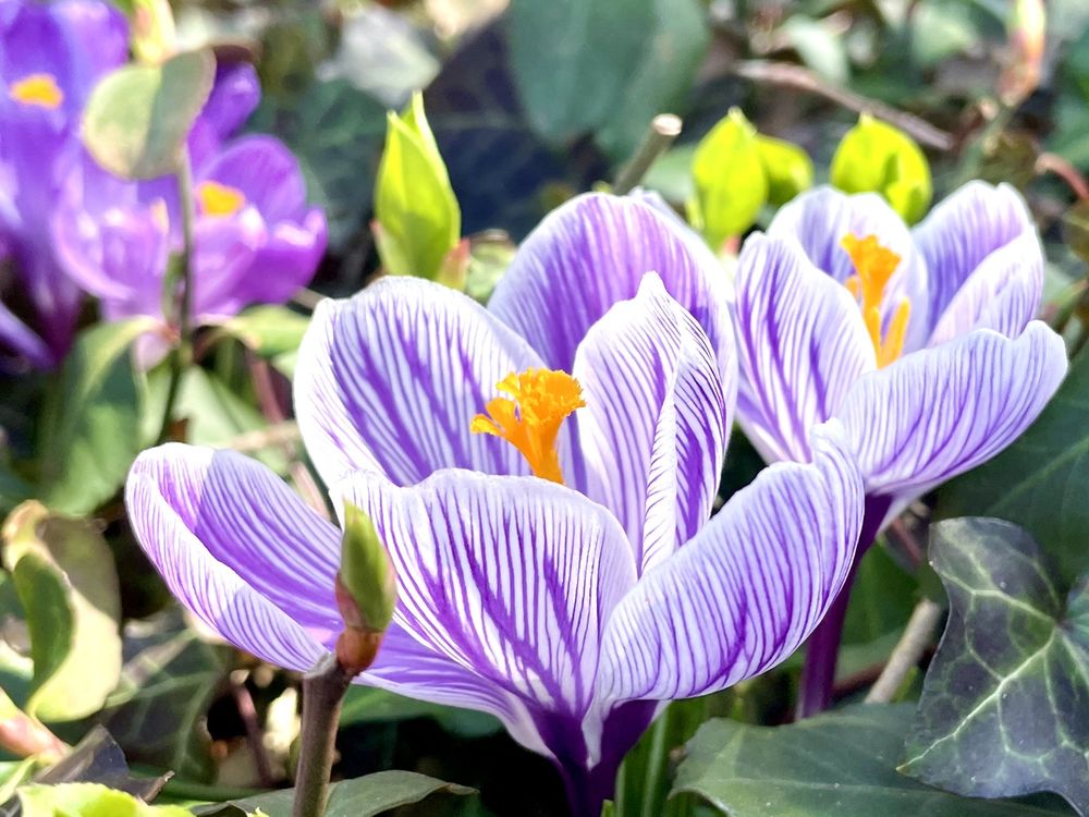 EDGAR M. QUEENY COUNTY PARK - Updated December 2025 - 214 Photos & 33 ...