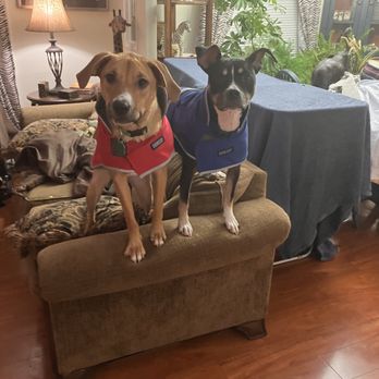 MONTGOMERY COUNTY SPCA - Updated December 2025 - 14 Reviews - 1059 ...