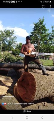 TIM HAMMOND TREE SERVICE - Updated March 2026 - 43 Photos - Loretto ...