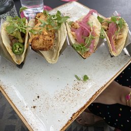 LUCHA ROSA ROOFTOP BAR - Updated May 2024 - 169 Photos & 76 Reviews ...