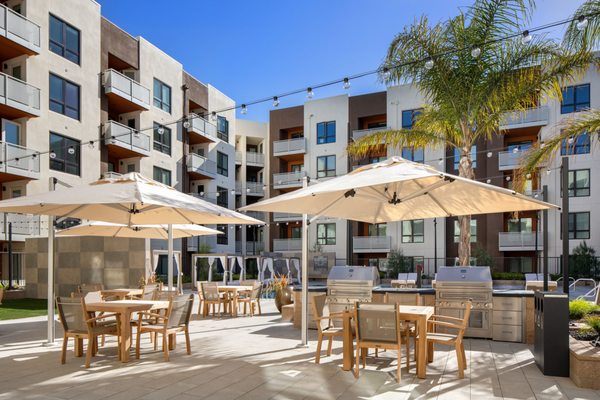 LYNHAVEN - Updated December 2025 - 138 Photos & 67 Reviews - 919 South ...