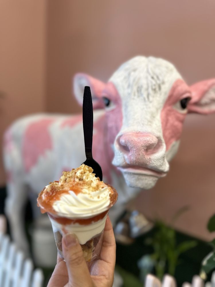 BRENTWOOD ICECREAM CO. - Updated January 2026 - 138 Photos & 85 Reviews ...