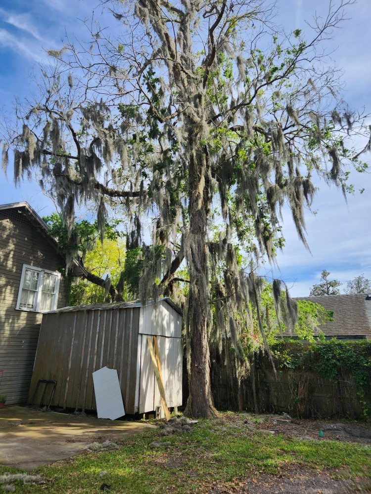 THE PERFECT NOTCH TREE SERVICE - Updated August 2025 - Request a Quote ...