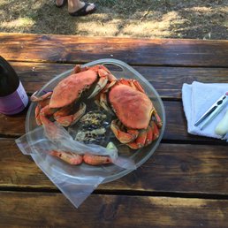 BUCK BAY SHELLFISH FARM - TEMP. CLOSED - Updated October 2025 - 368 ...