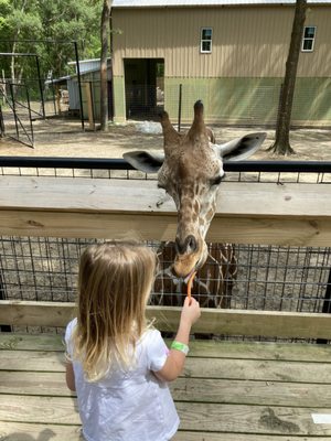 BEE CITY ZOO - Updated December 2025 - 419 Photos & 124 Reviews - 1066 ...