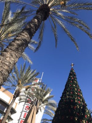 RIVERSIDE PLAZA - 103 Photos & 79 Reviews - 3535 Riverside Plaza Dr ...