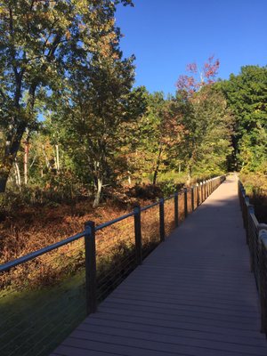 STEWART STATE FOREST - Updated July 2025 - 319 International Blvd, Rock ...