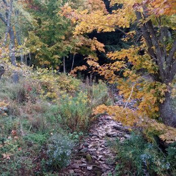 THE WINDHAM PATH - Updated August 2025 - 66 Photos & 14 Reviews - 4982 ...