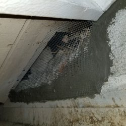 KILTER TERMITE & PEST CONTROL - 26 Photos & 133 Reviews - 260 Newport ...