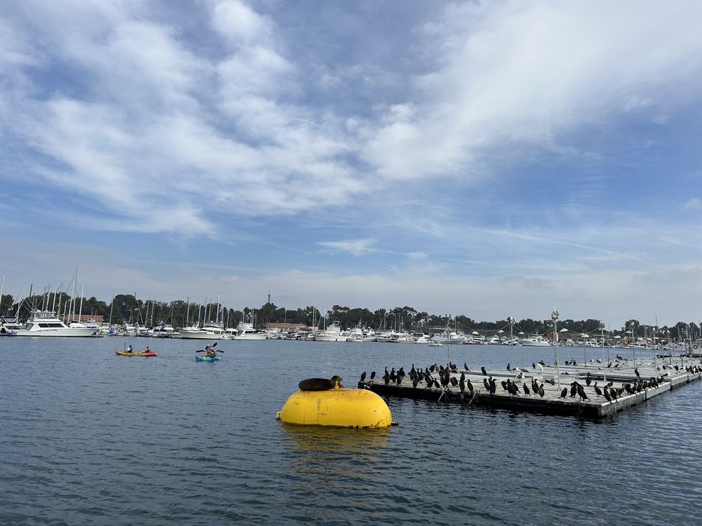 DANA LANDING MARINA - Updated January 2025 - 2630 Ingraham St, San ...