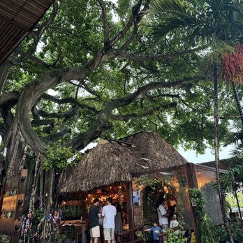 EL TURCO TURKISH FOOD - Updated July 2024 - 653 Photos & 333 Reviews ...