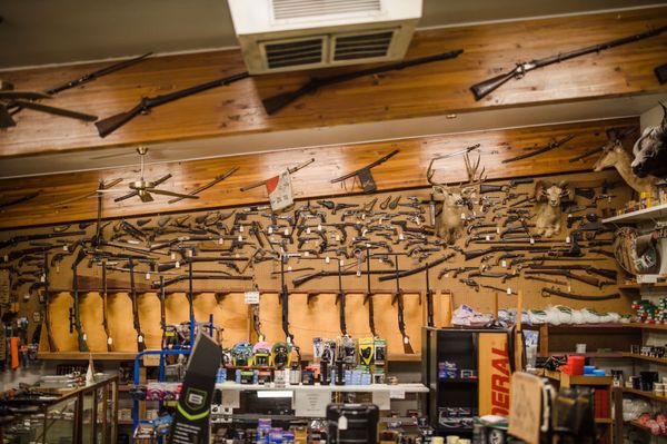 MURPHY’S GUNS - Updated December 2025 - 10 Photos & 75 Reviews - 3235 N ...