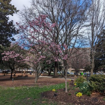 NASH SQUARE - Updated December 2025 - 80 Photos & 15 Reviews - Nash ...