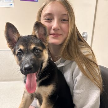 SOUTH COUNTY VETERINARY HOSPITAL - Updated October 2025 - 31 Photos ...