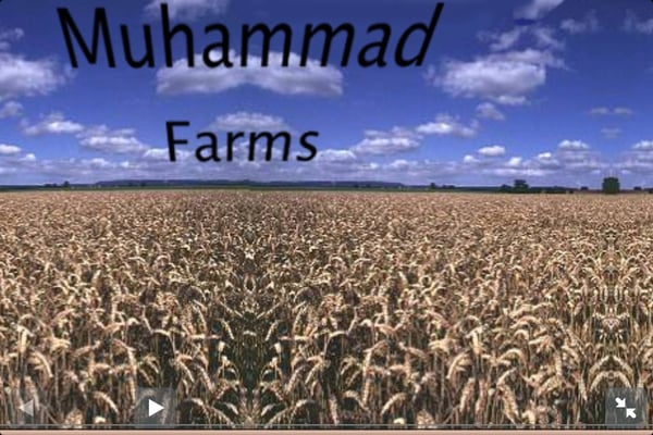MUHAMMAD FARMS - Updated January 2026 - 2569 Southpoint Rd, Bronwood ...