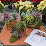 RIVER STREET FLOWERLAND - 119 Photos - Nurseries & Gardening - 1300 ...