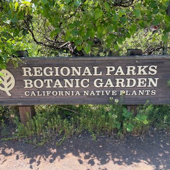 REGIONAL PARKS BOTANIC GARDEN AT TILDEN - Updated December 2025 - 258 ...