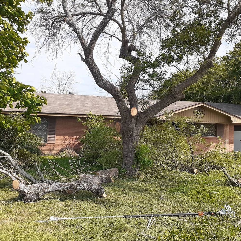 FAITH LANDSCAPE - 18 Photos - Landscaping - Robinson, TX - Phone Number ...