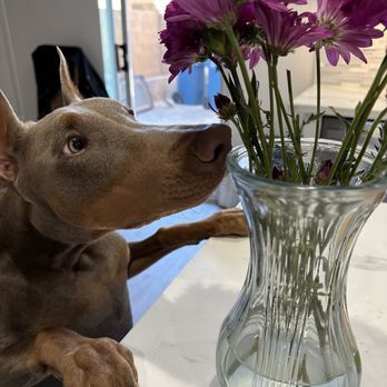 MICHAEL BUTCHKO, DVM - Updated August 2025 - 214 Photos & 539 Reviews ...