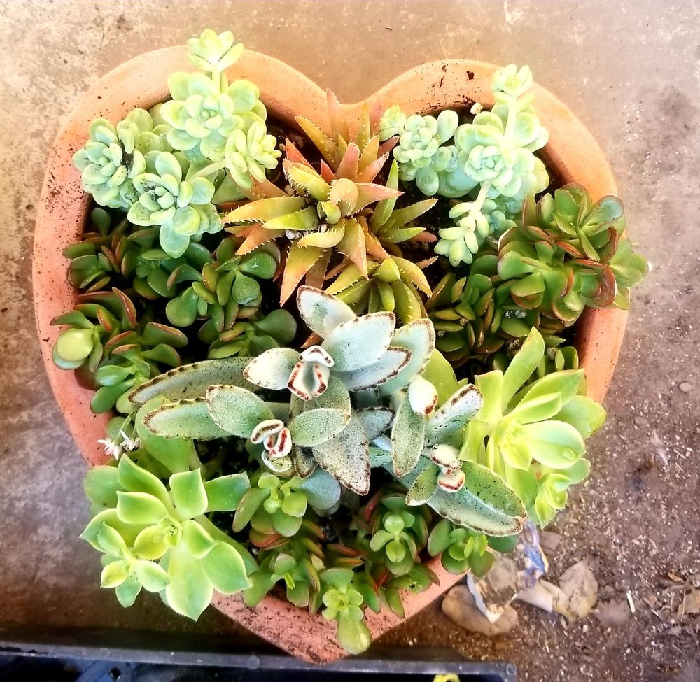 THE MADD POTTER - Updated February 2025 - 47 Photos & 30 Reviews - 136 ...