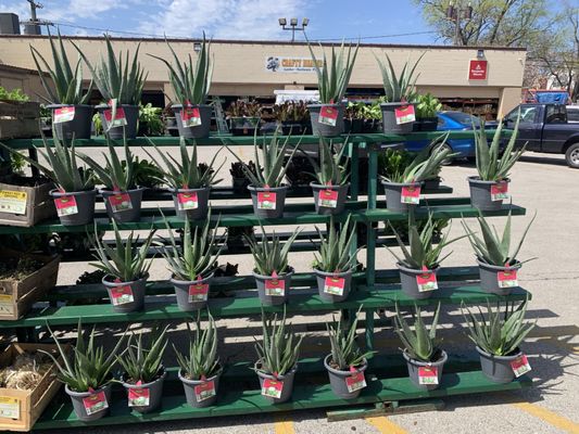 CRAFTY BEAVER HOME CENTER - Updated December 2025 - 29 Photos & 36 ...