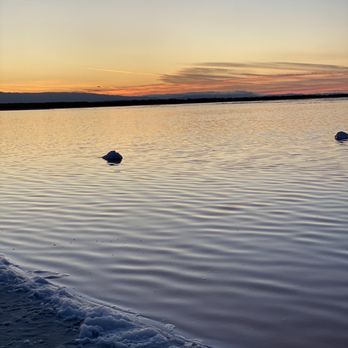 ALVISO MARINA COUNTY PARK - Updated June 2024 - 1499 Photos & 207 ...