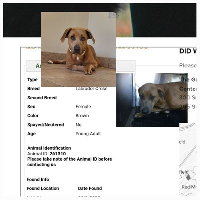 GREATER BIRMINGHAM HUMANE SOCIETY - Updated October 2025 - 50 Photos ...