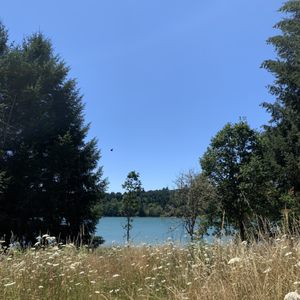HENRY HAGG LAKE / SCOGGINS VALLEY PARK - 79 Photos & 33 Reviews - 50250 ...
