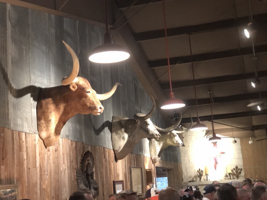 KNIBBE RANCH - 40 Photos & 16 Reviews - 9836 Spring Branch Rd, Spring ...