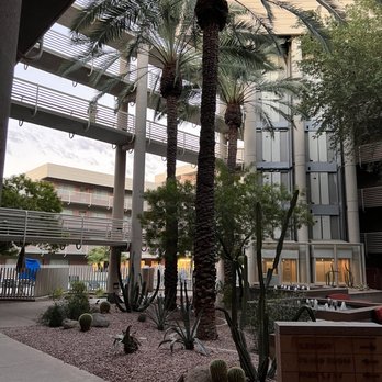 DOUBLETREE BY HILTON PHOENIX NORTH - Updated May 2024 - 221 Photos & 72 ...