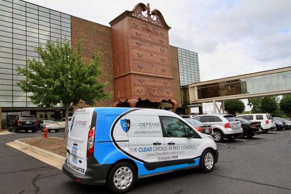 CLEARDEFENSE PEST CONTROL - Updated September 2025 - 35 Photos & 15 ...