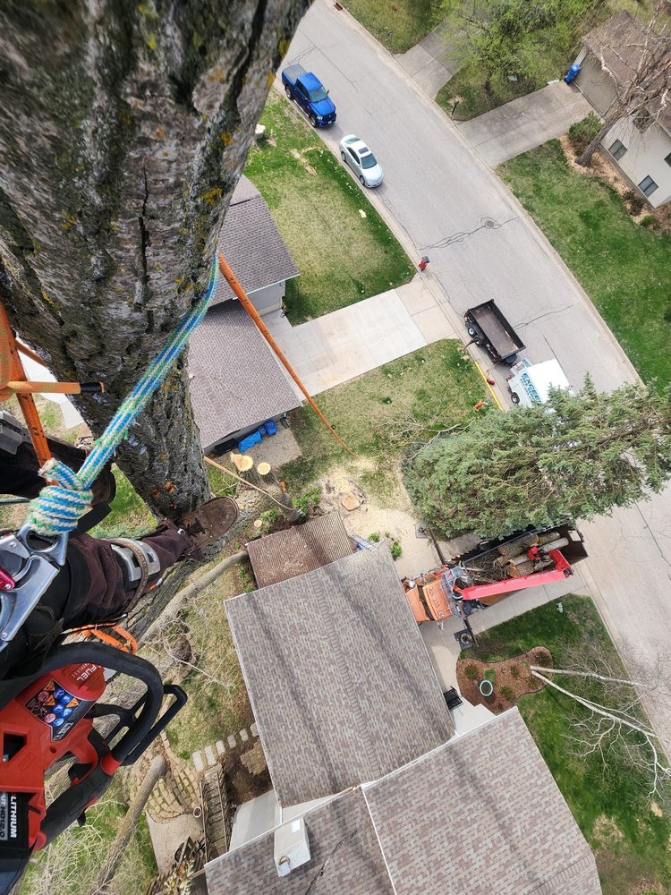 EXCEED TREE SERVICE - Updated December 2025 - 38202 Woodland Hills Dr ...