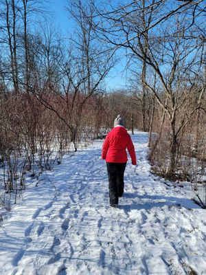 STIGLMEIER PARK - Updated December 2025 - 192 Photos & 40 Reviews - 500 ...