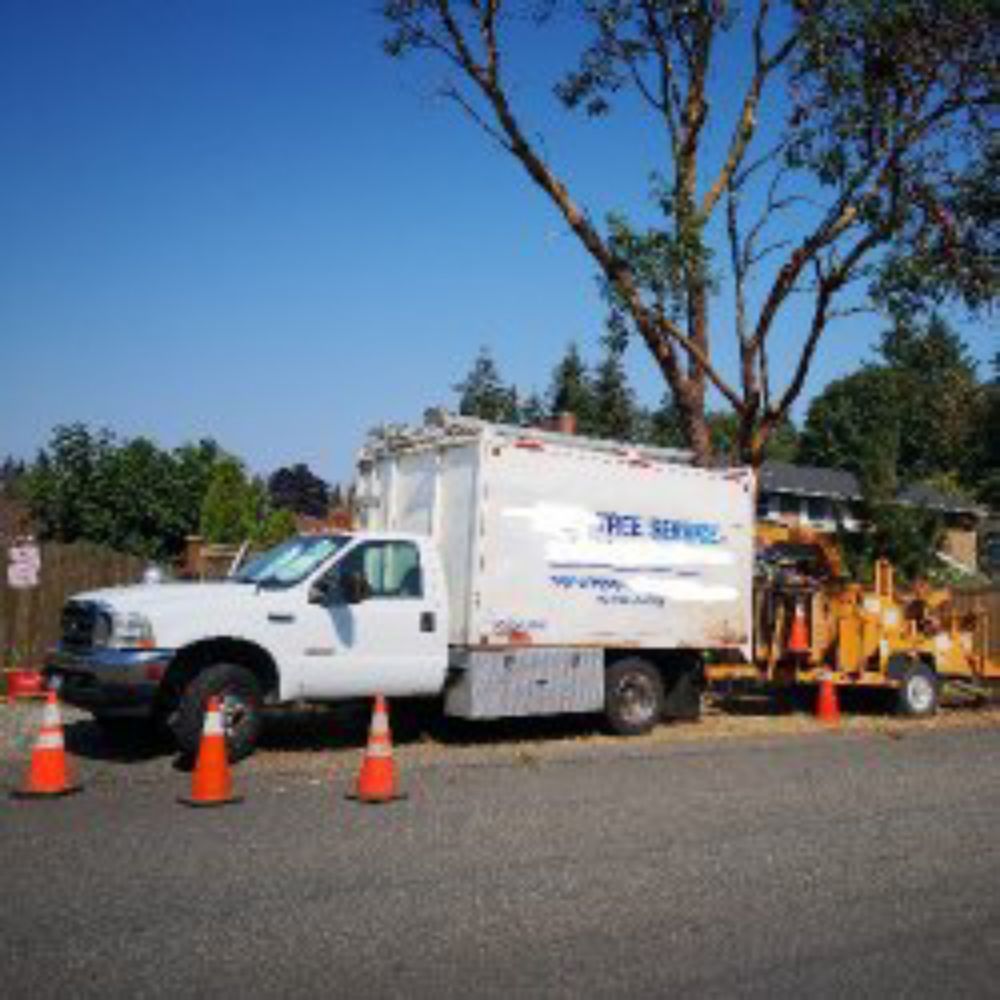 JED’S TREE SERVICE - Updated April 2025 - Carnation, Washington - Tree ...
