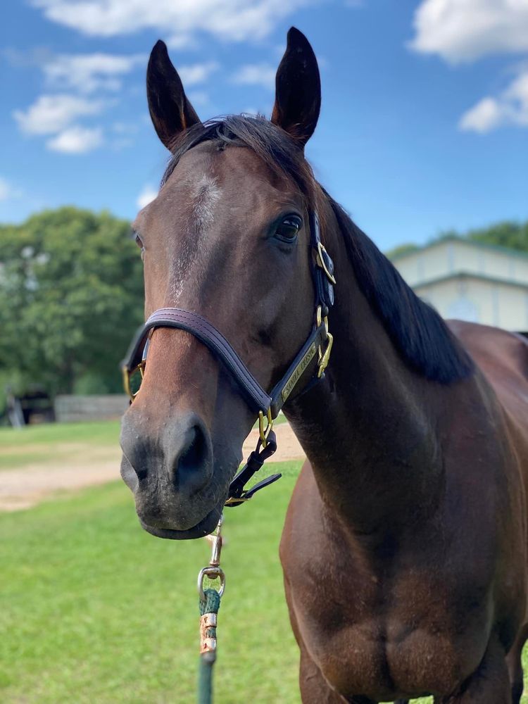 FORTUNATA FARM - Updated May 2025 - Request Information - 4123 Fortune ...