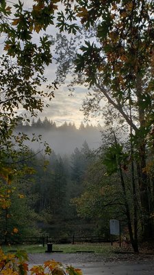 OXBOW REGIONAL PARK - 59 Photos & 42 Reviews - Parks - 3010 SE Oxbow ...