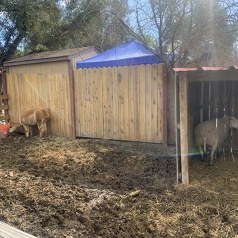 LONGSHADOW RANCH VINEYARD AND WINERY - Updated March 2025 - 661 Photos ...