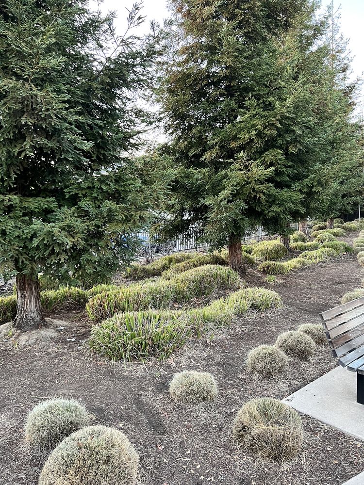 FRANCO PARK - 26 Photos & 10 Reviews - 10981 Franco Ct, Cupertino, CA ...