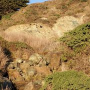 SHELL BEACH - 65 Photos 【3095 Coast Hwy, Bodega Bay, California ...