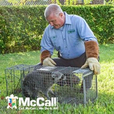 MCCALL PEST & WILDLIFE - Updated July 2025 - 39 Photos - 307 NW 21st St ...