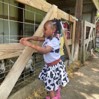 SILVER STALLION RANCH - Updated April 2025 - 15125 Sacramento St ...