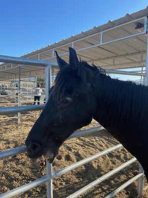 KYLE CANYON RANCH - Updated May 2025 - 82 Photos & 12 Reviews - 13820 ...