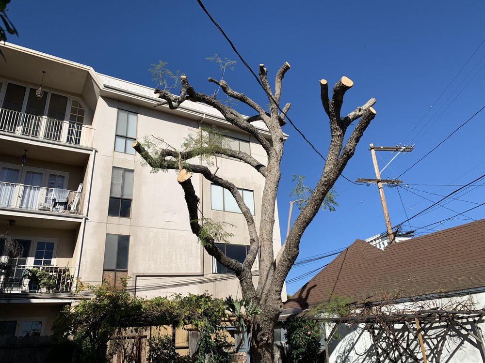 ROPER TREE SURGEON AND LANDSCAPING - Updated September 2024 - Compton ...