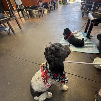 OHSO BREWERY- GILBERT - Updated April 2025 - 1224 Photos & 1031 Reviews ...